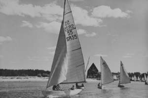 Mereäärne restoran Pirital | Gurmeerestoran Sardiinid